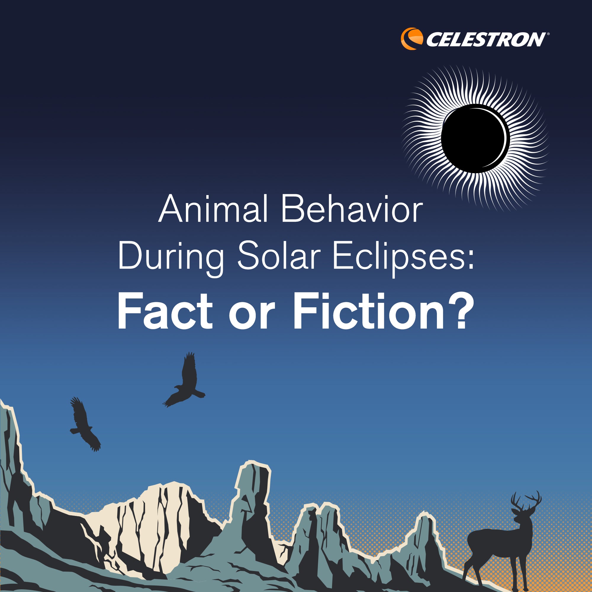 Animal Behavior During Solar Eclipses: Fact or Fiction? – Celestron