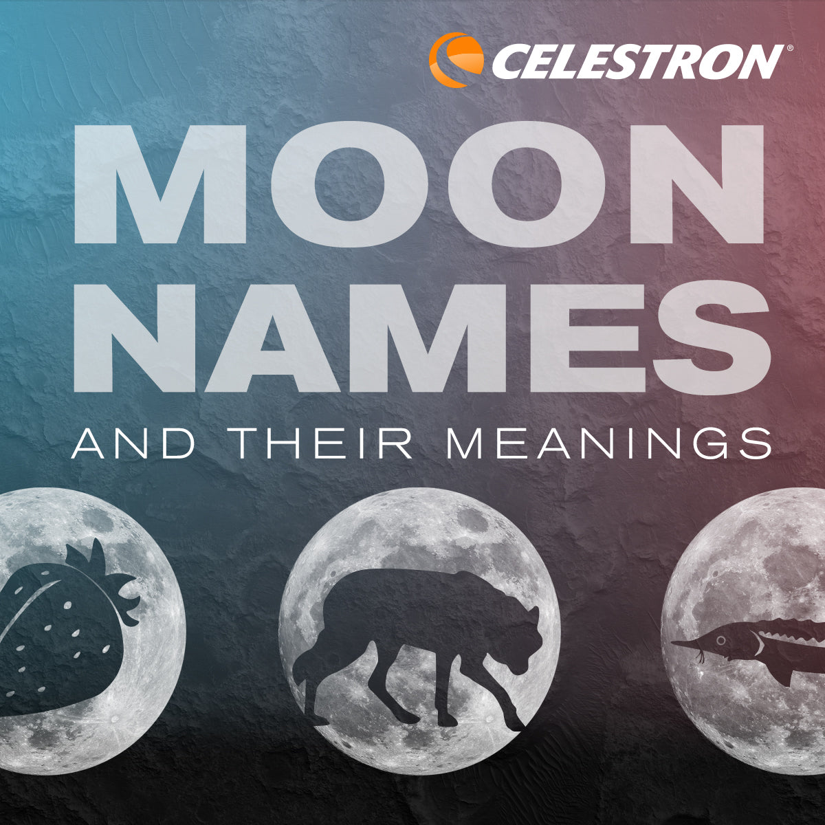 Moon Names and Their Meanings – Celestron