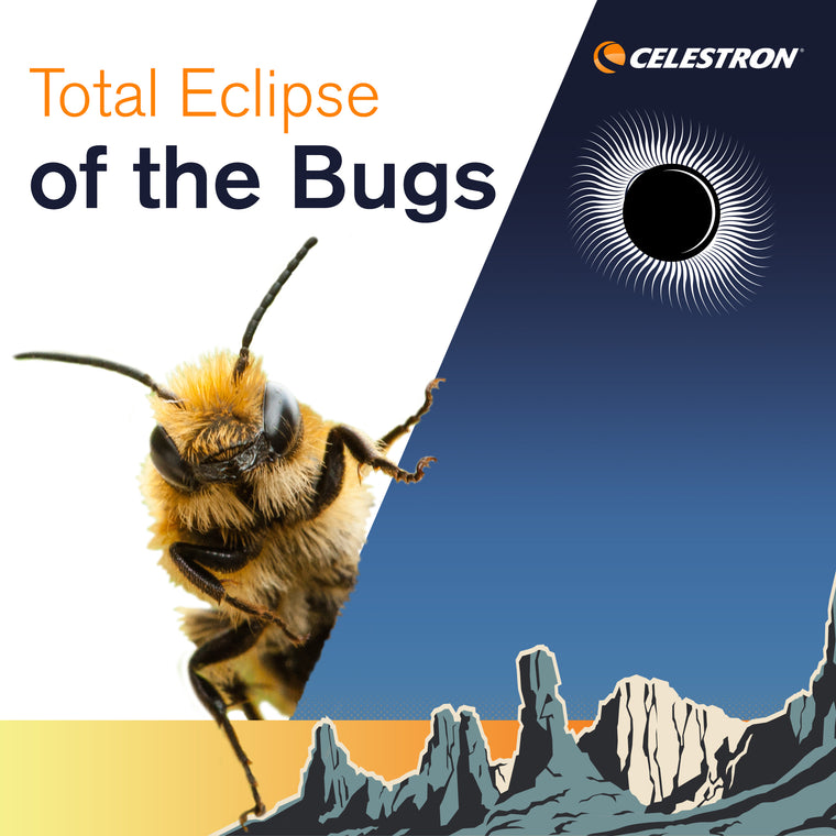 Orange Book Eclipse Edition | Celestron
