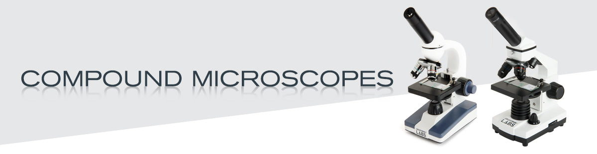 Compound Microscopes | Celestron