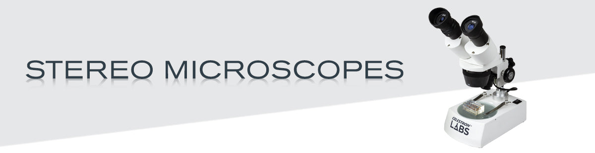 Stereo Microscopes | Celestron