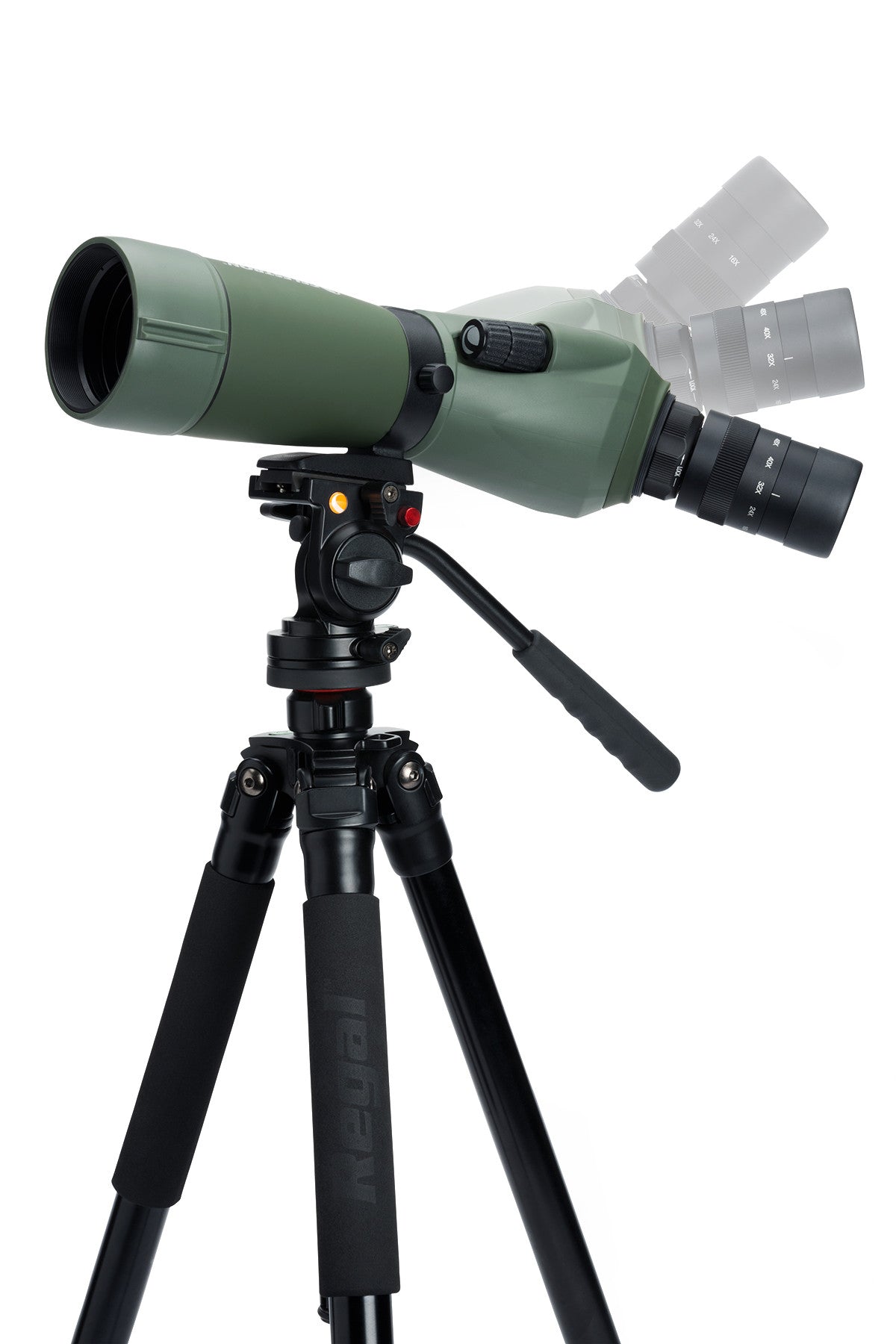Regal M2 16-48x65mm ED Angled Zoom Spotting Scope | Celestron