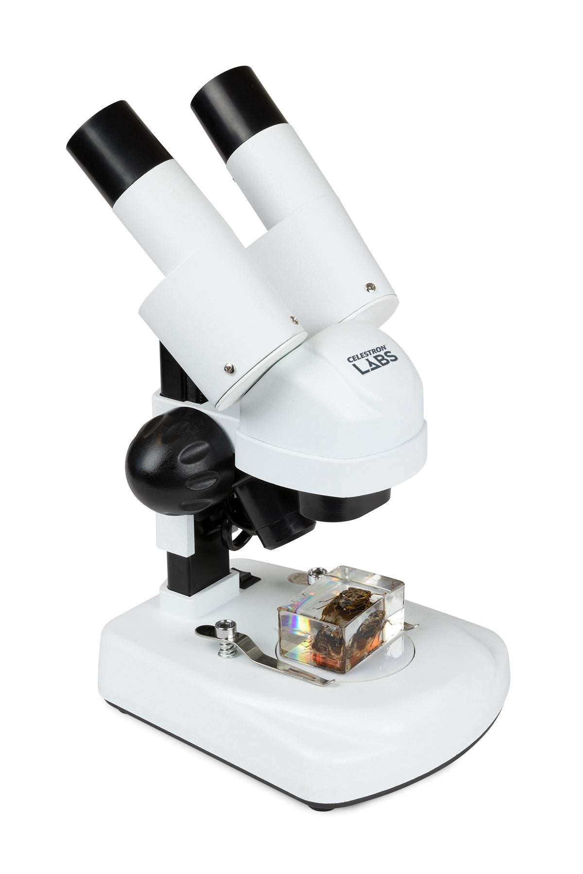 Celestron Labs S20 Angled Stereo Microscope | Celestron
