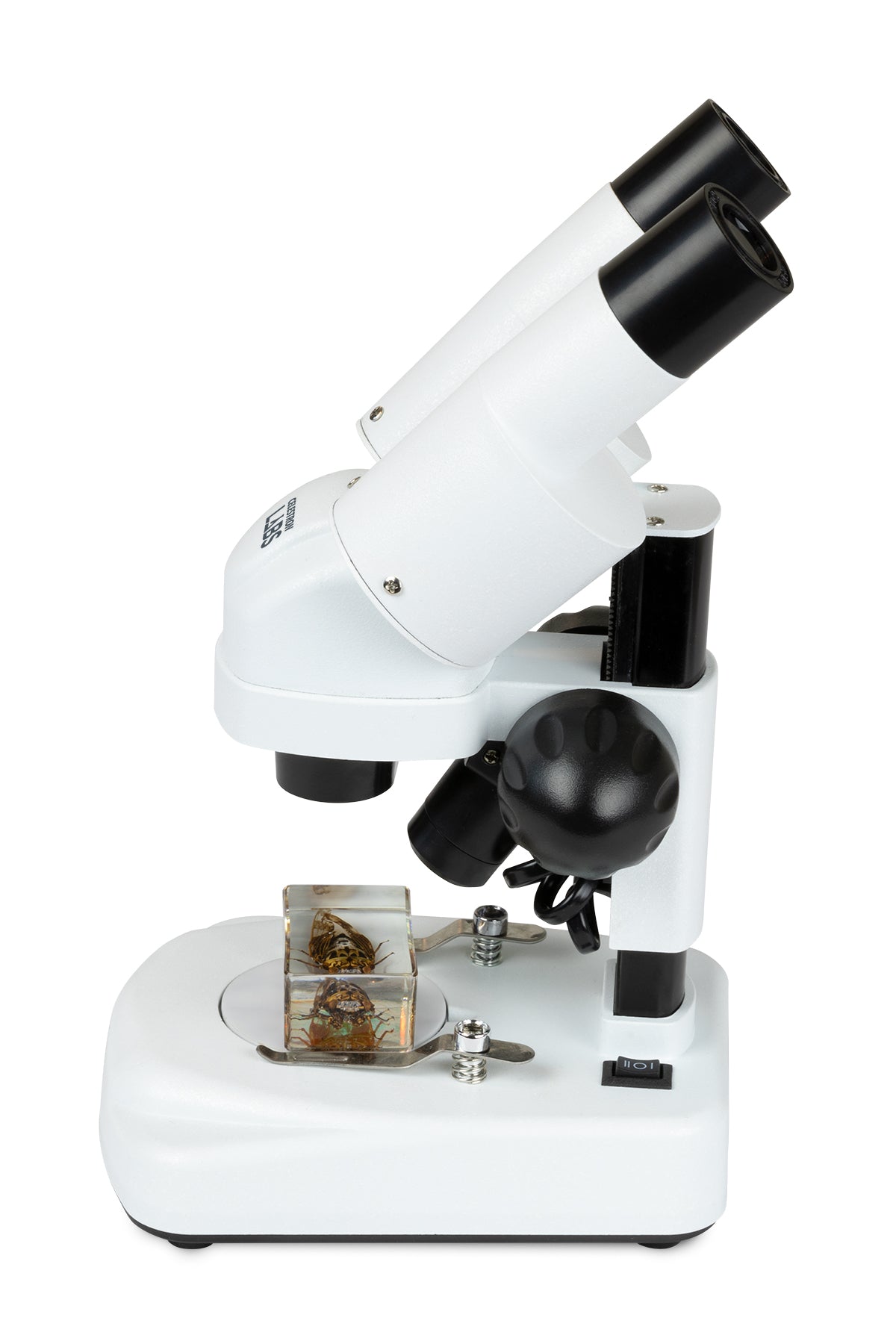 Celestron Labs S20 Angled Stereo Microscope | Celestron