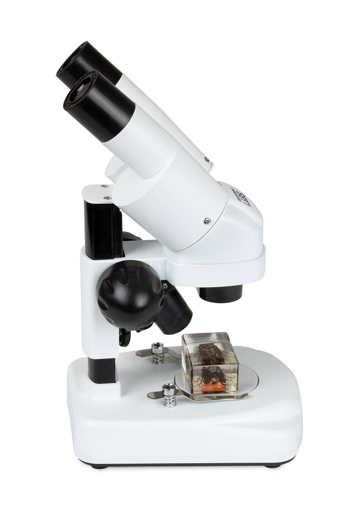 Celestron Labs S20 Angled Stereo Microscope | Celestron