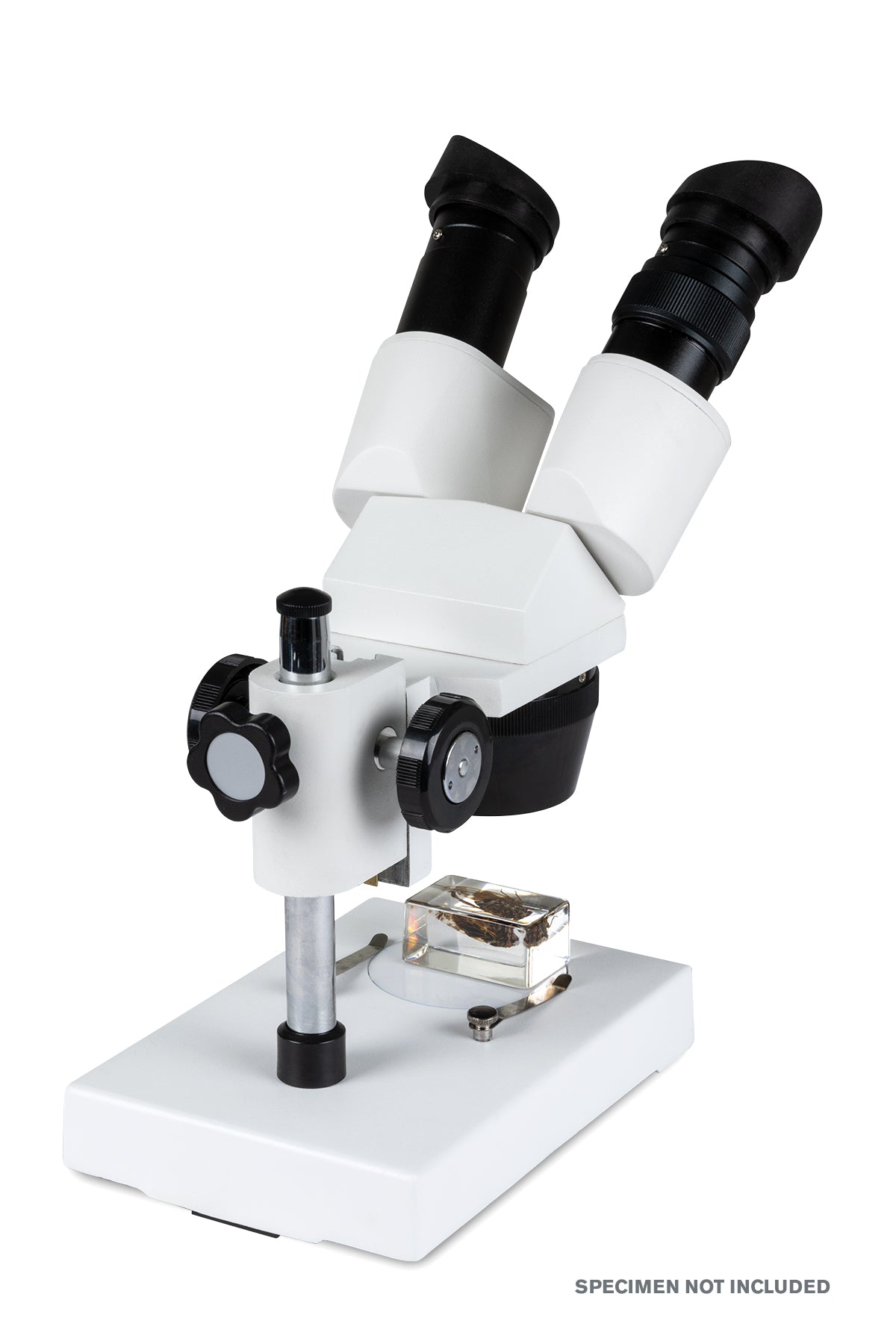 Celestron Labs S1030N Stereo Microscope | Celestron
