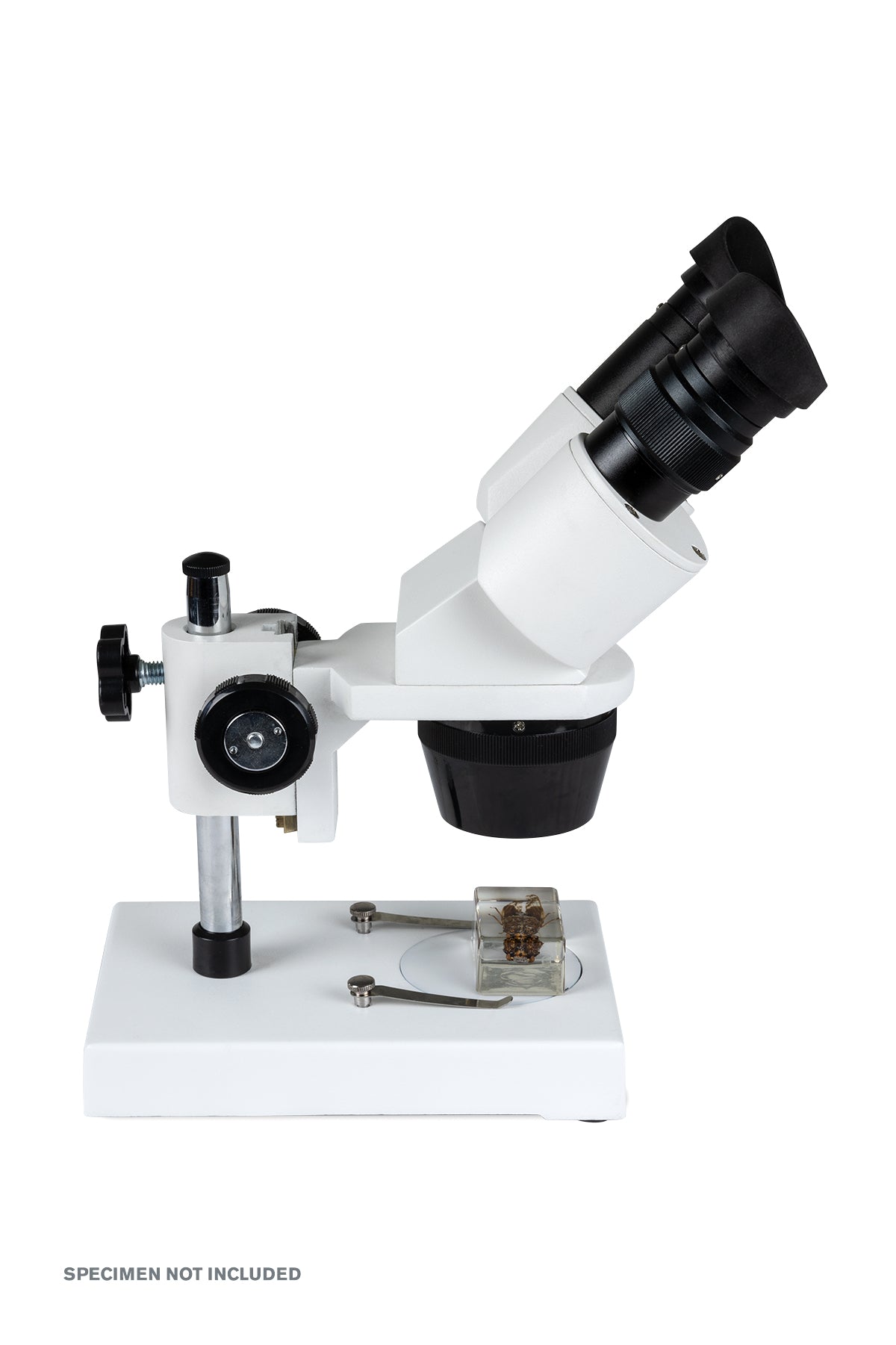 Celestron Labs S1030N Stereo Microscope | Celestron
