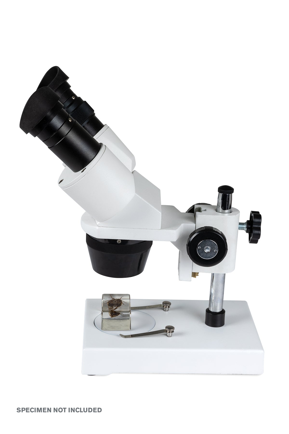 Celestron Labs S1030N Stereo Microscope | Celestron