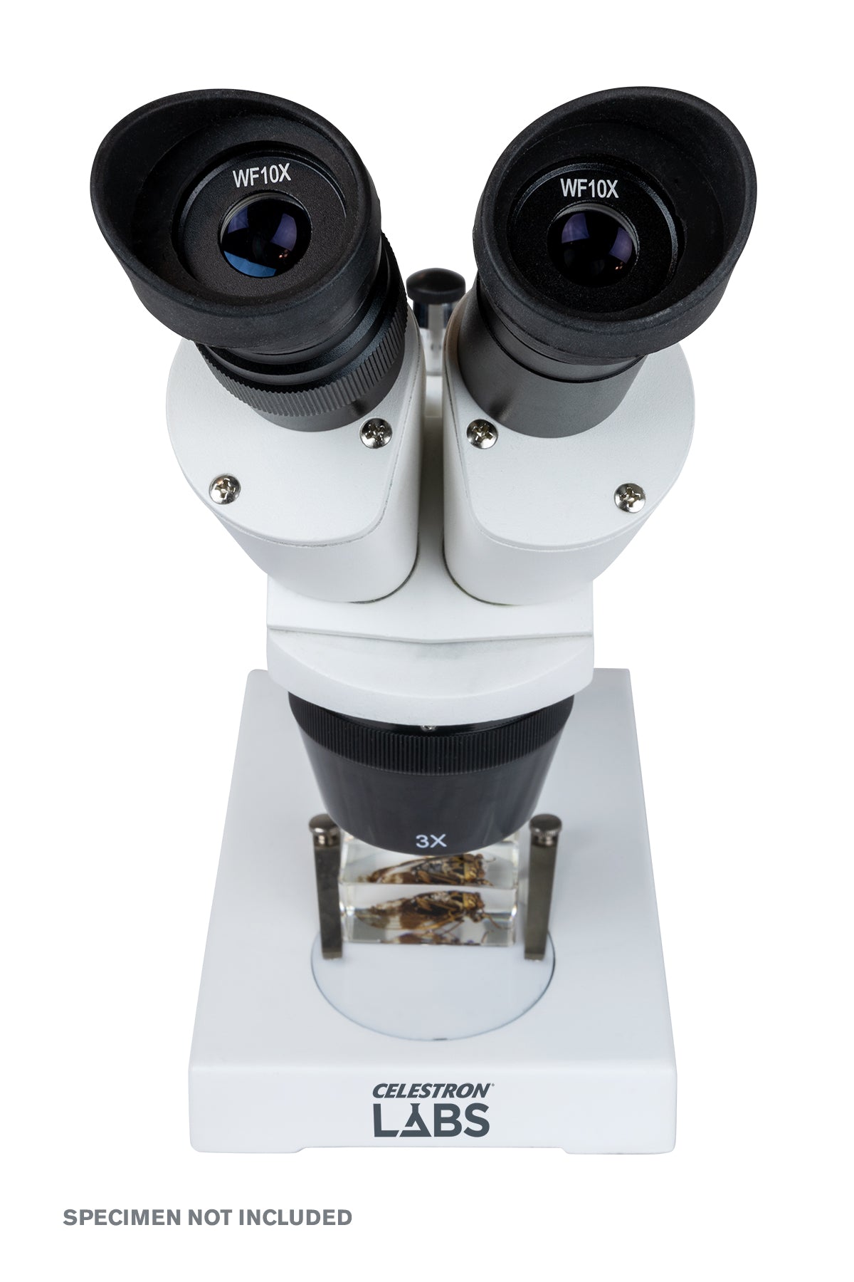 Celestron Labs S1030N Stereo Microscope | Celestron
