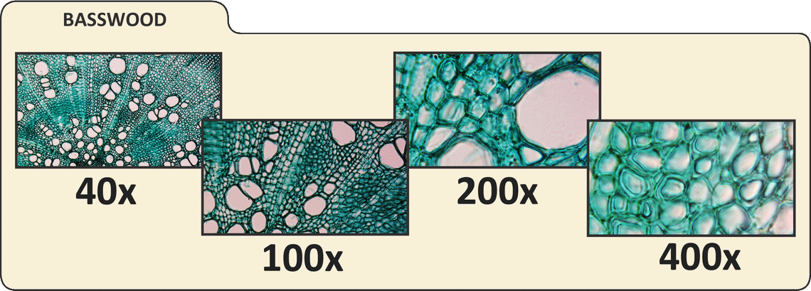 PentaView LCD Digital Microscope | Celestron