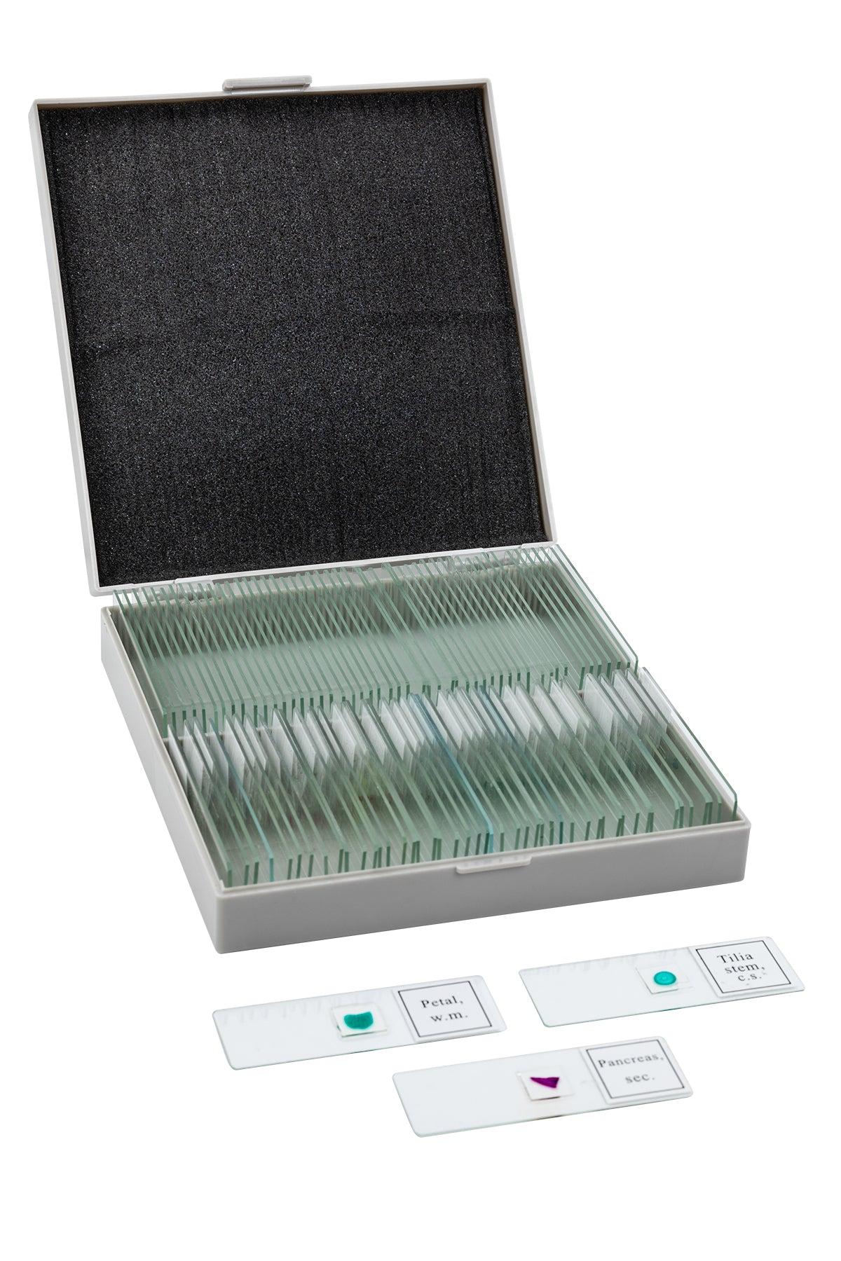 TetraView LCD Digital Microscope with 100 Slide Kit | Celestron