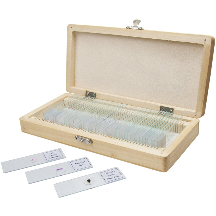 50 Piece Prepared Specimen Slide Kit | Celestron