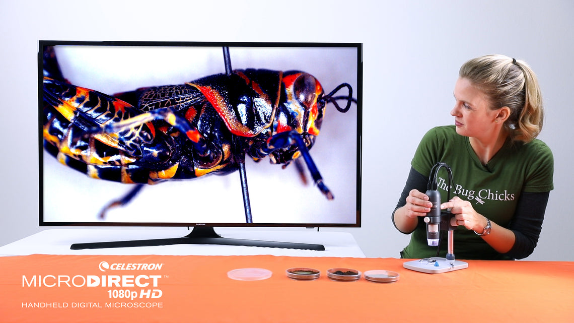 MicroDirect 1080P HDMI Handheld Digital Microscope | Celestron