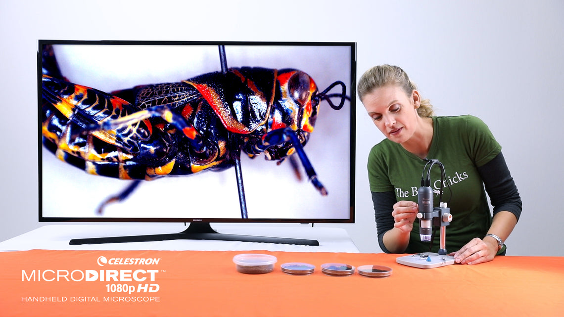 MicroDirect 1080P HDMI Handheld Digital Microscope | Celestron